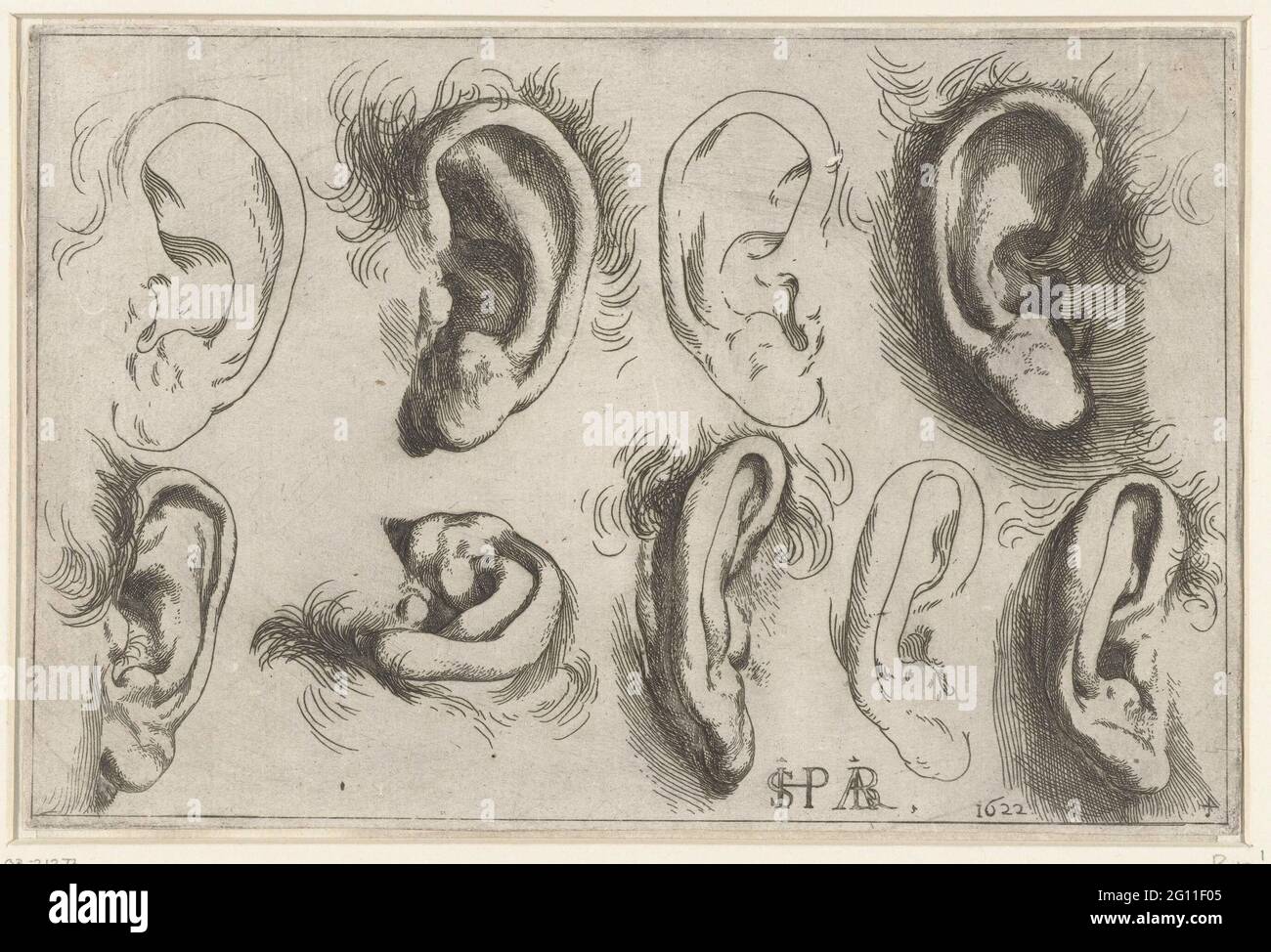Studies For Ears High Resolution Stock Photography and Images - Alamy