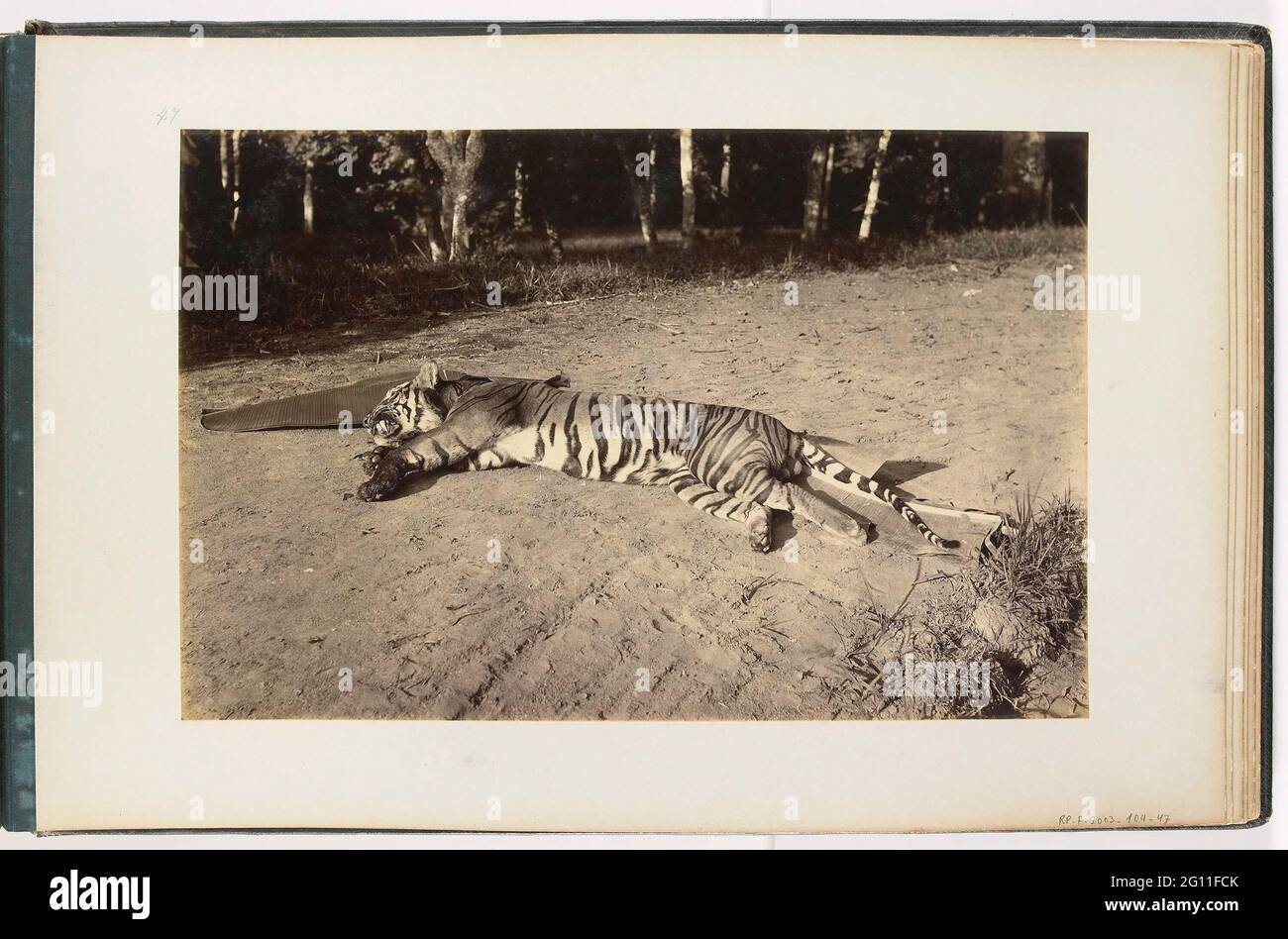 Tjina hi-res stock photography and images - Alamy