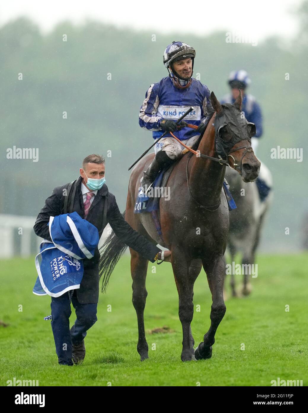 Fox coral hi-res stock photography and images - Alamy