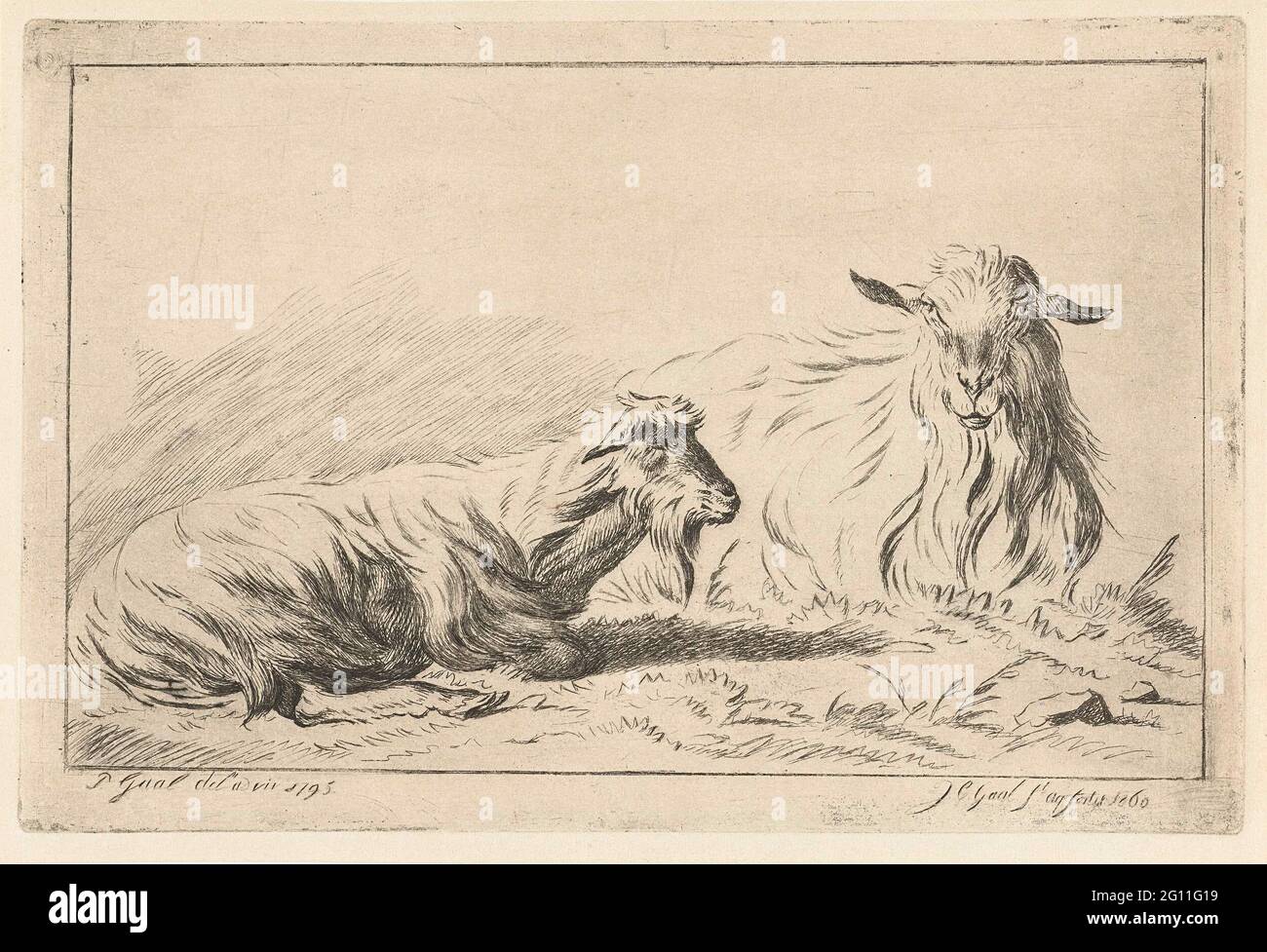 Two lying goats Stock Photo - Alamy