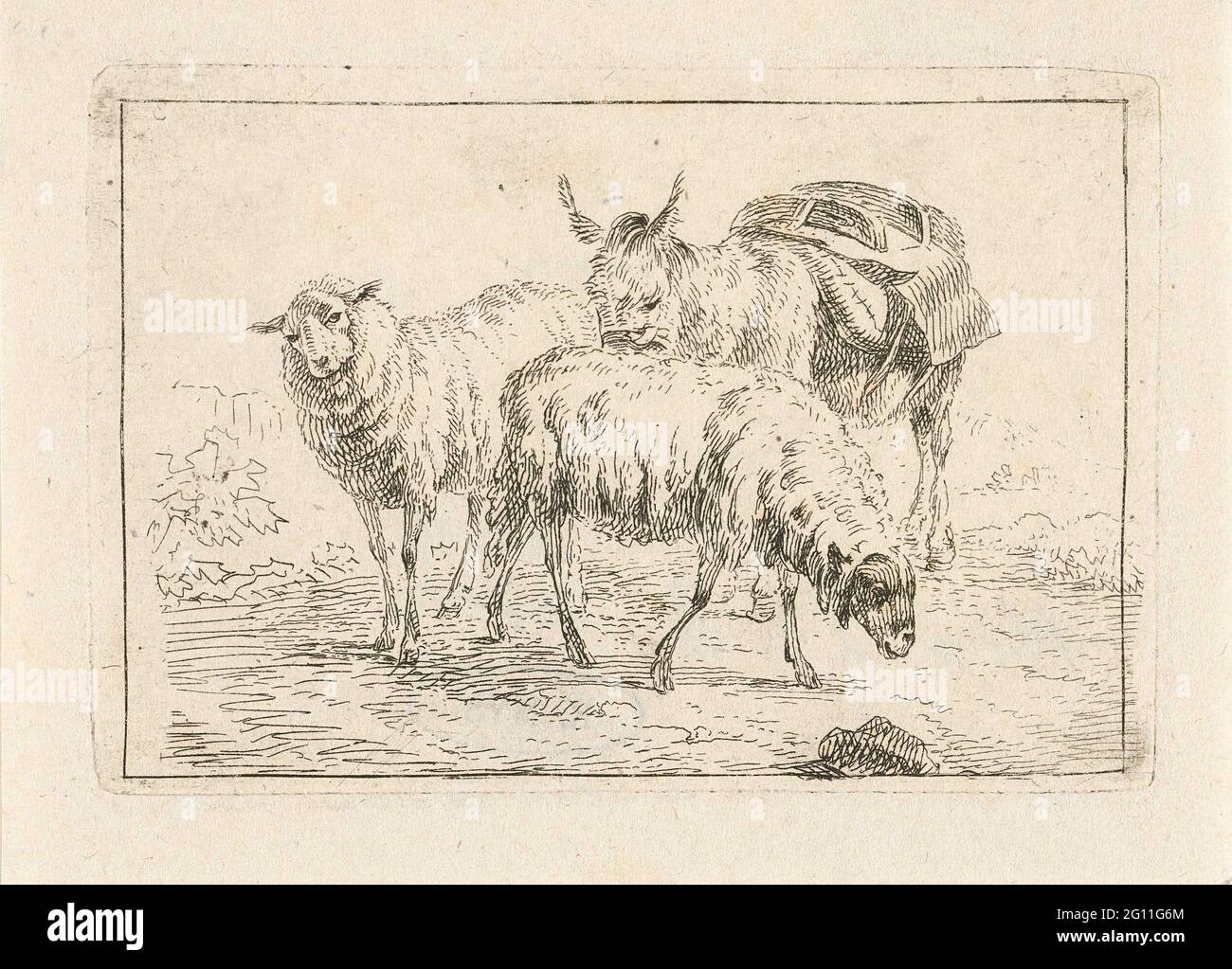 Donkey and two sheep Stock Photo - Alamy