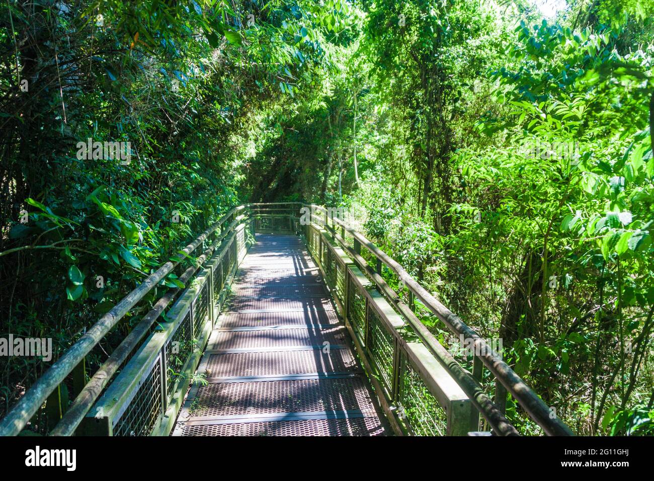 Tourist path in Iguazu National Park in Argentina Stock Photo - Alamy
