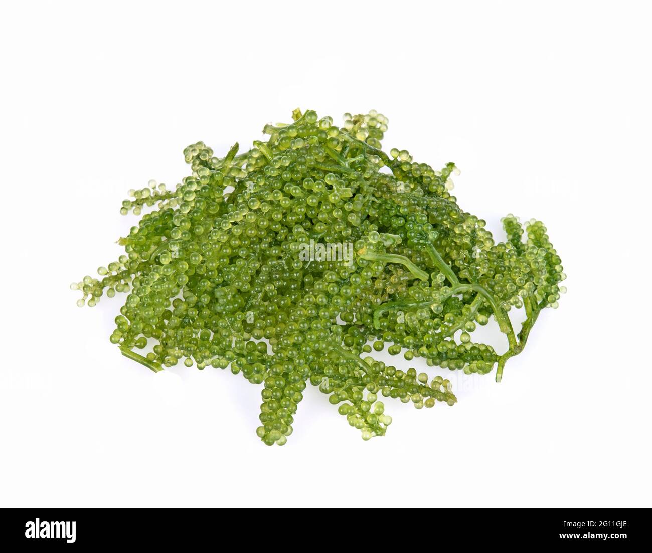 Sea Grape isolated on white background Stock Photo - Alamy