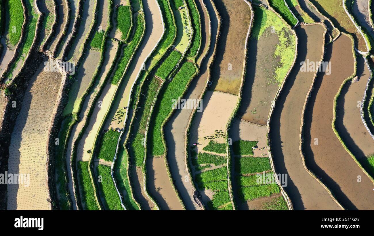 CONGJIANG, CHINA - JUNE 4, 2021 - An aerial photo shows villagers ...