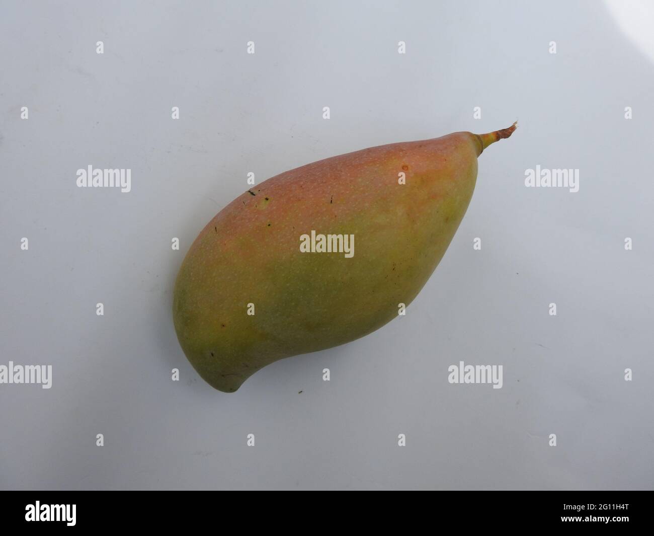Closeup shot of a totapuri mango fruit isolated on white background ...