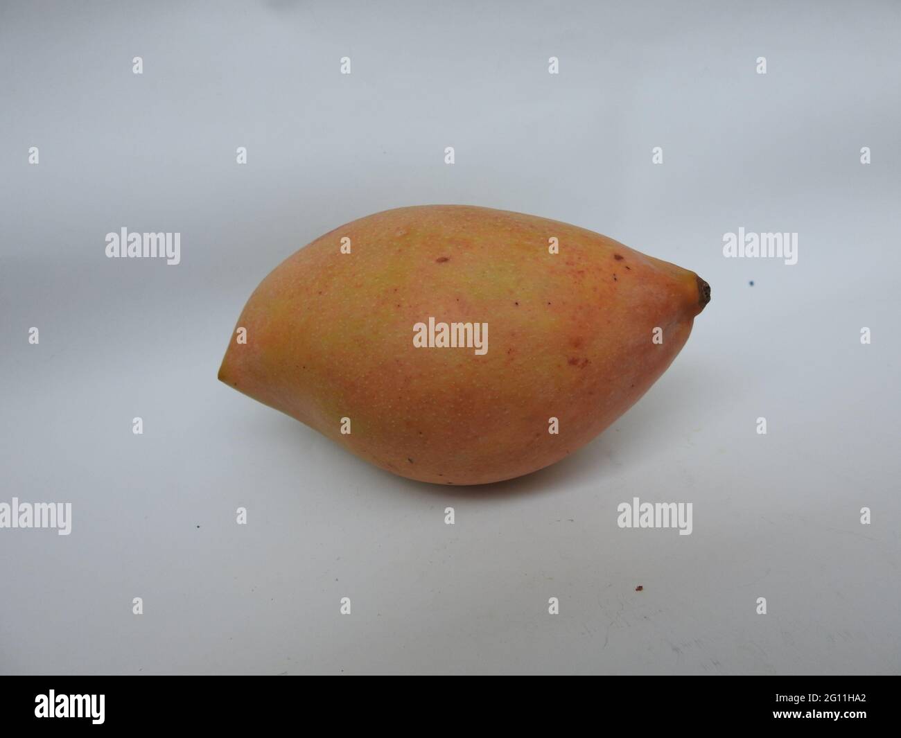Closeup shot of a totapuri mango fruit isolated on white background ...