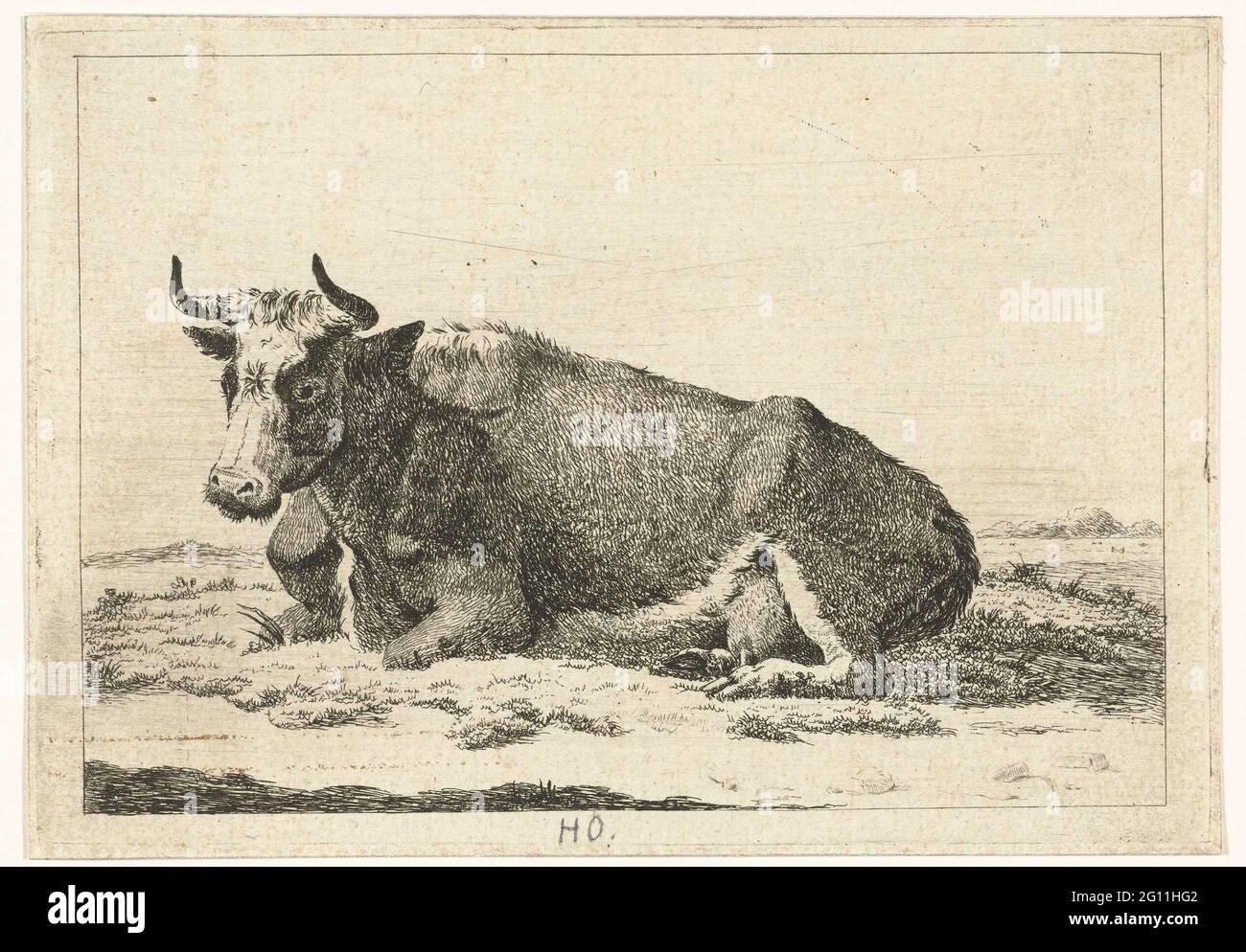 Landscape with lying cow with horns; Cows Stock Photo - Alamy