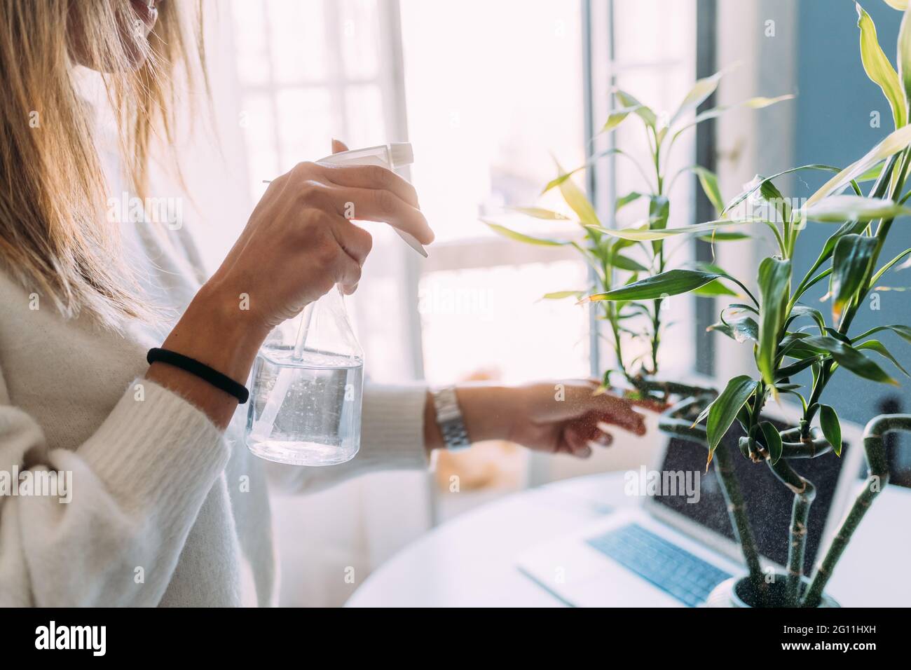 Italy, Woman spraying flowers at home Stock Photo - Alamy
