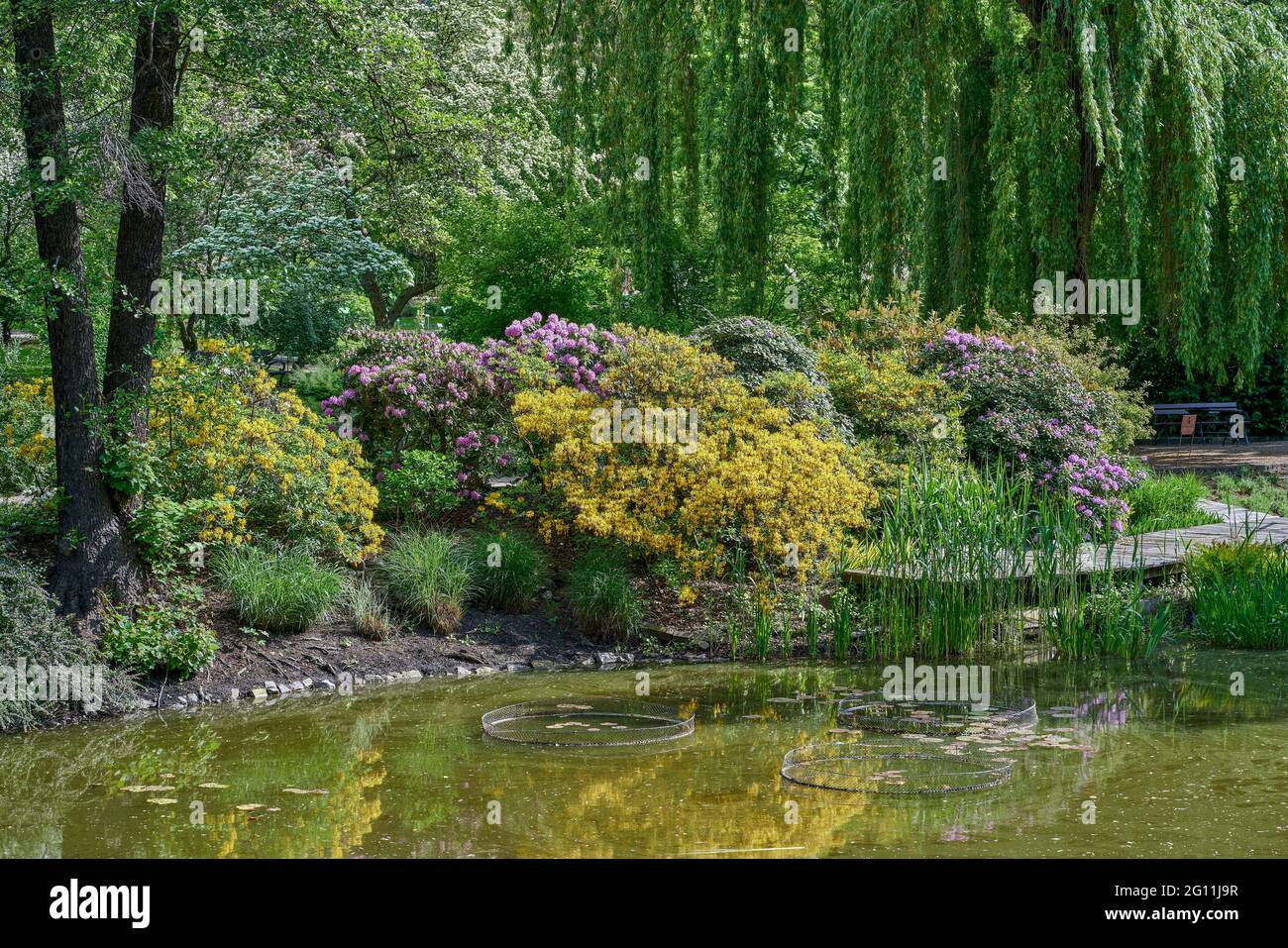 Botanical Gardens in the spring Wroclaw Lower Silesia Poland Stock ...