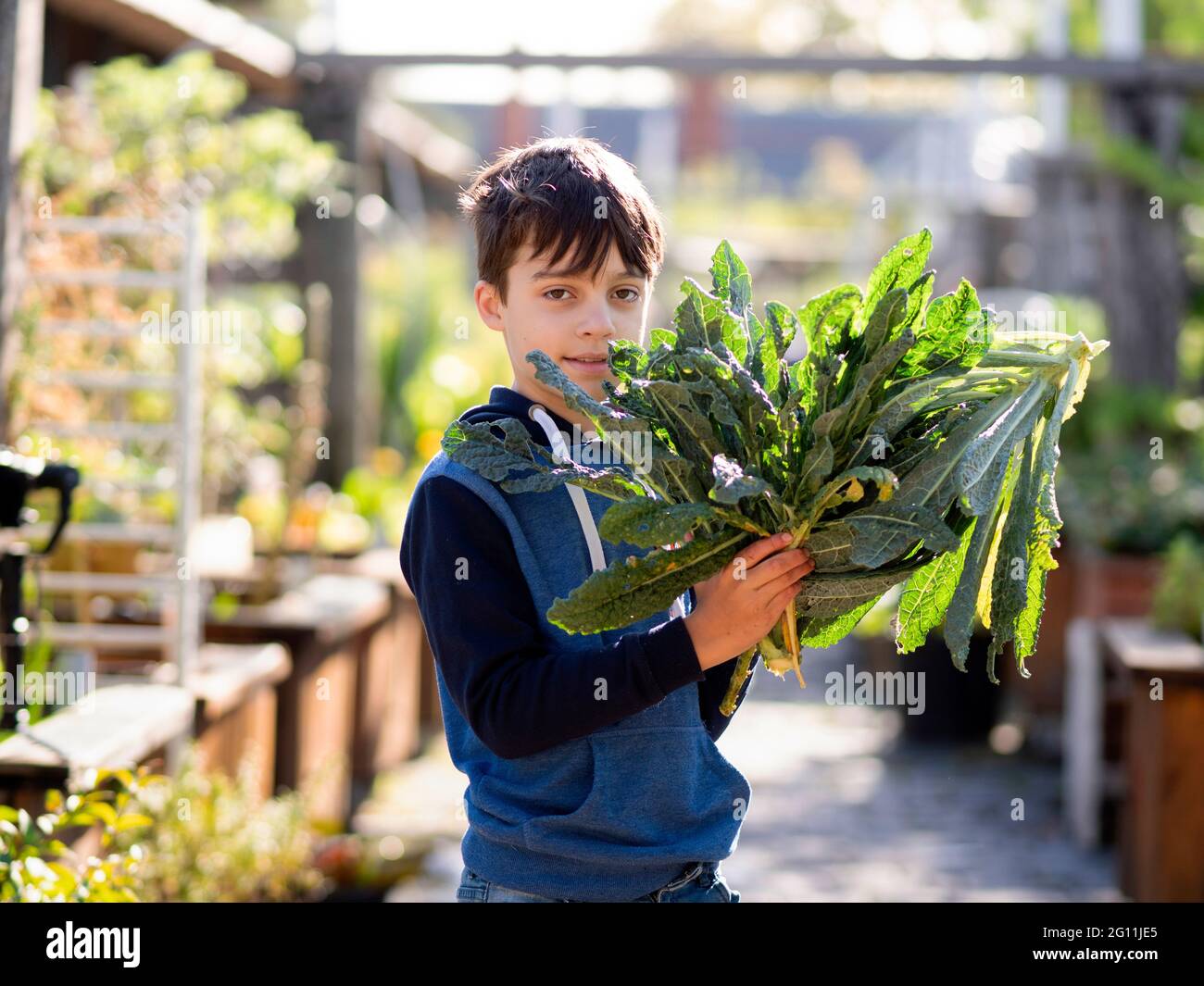Australia, Melbourne, Portrait of boy at community garden Stock Photo ...