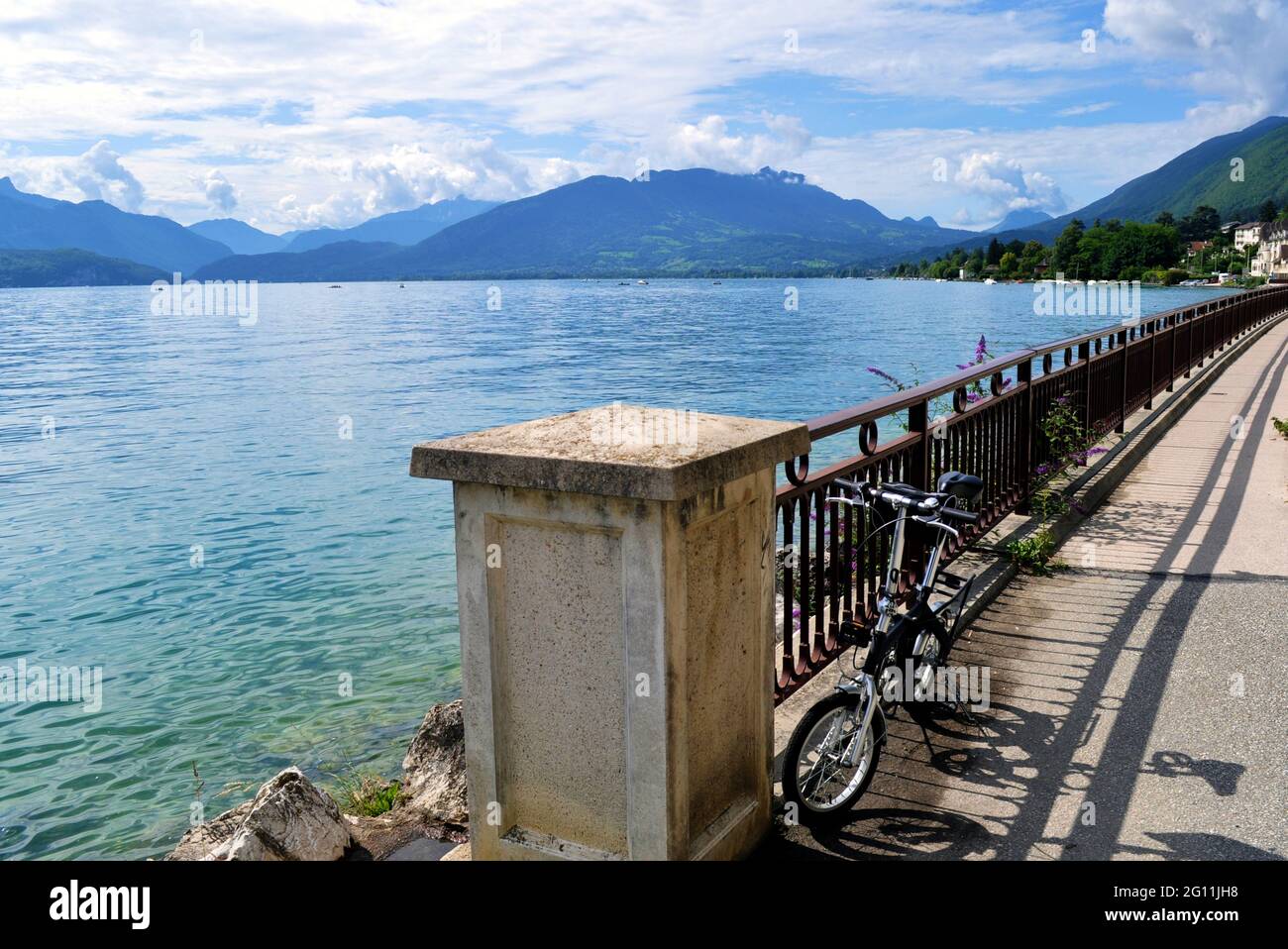 Trees and the water cycle hi-res stock photography and images - Alamy