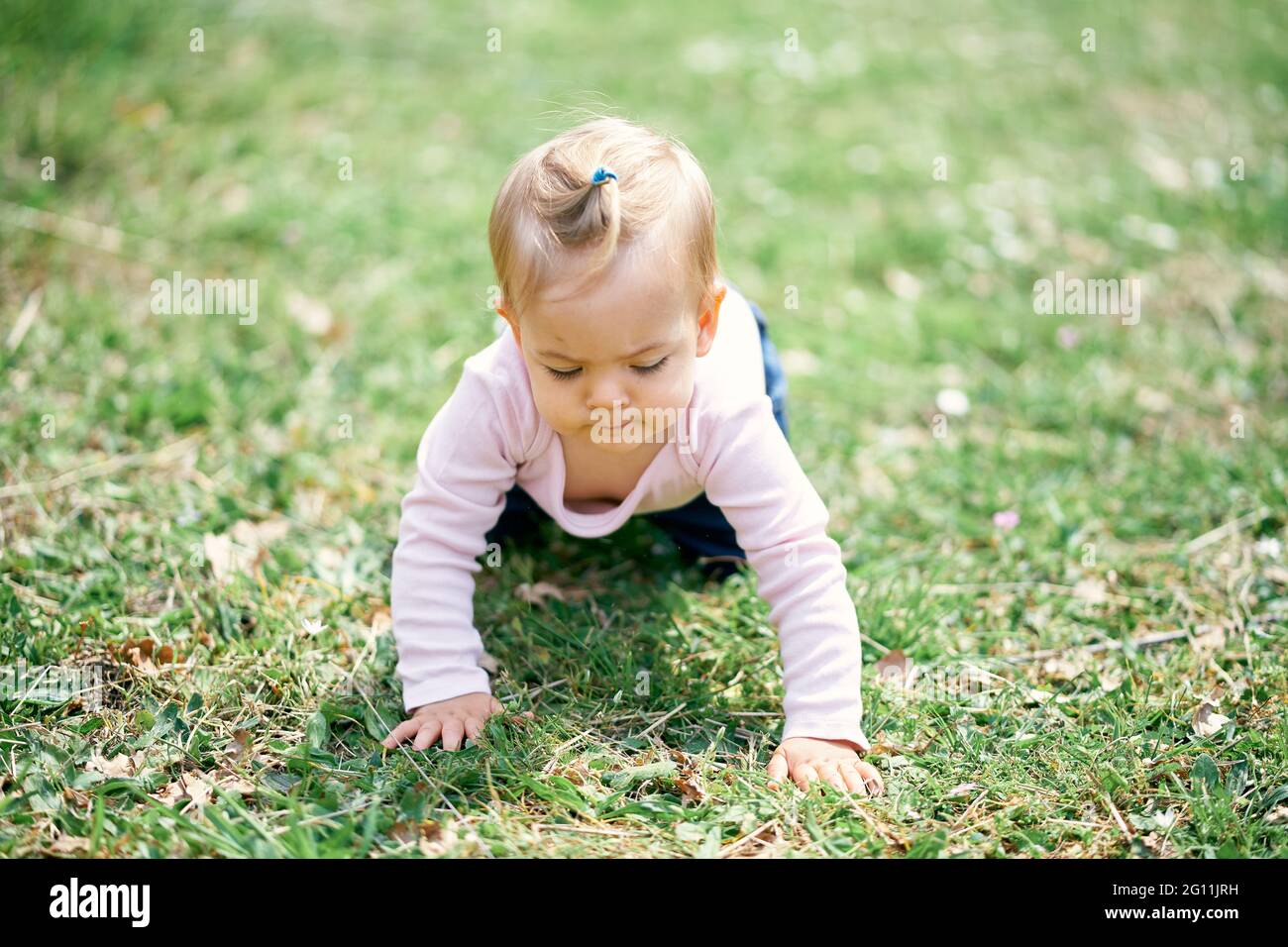 Little cute girl crawling on a green meadow Stock Photo - Alamy
