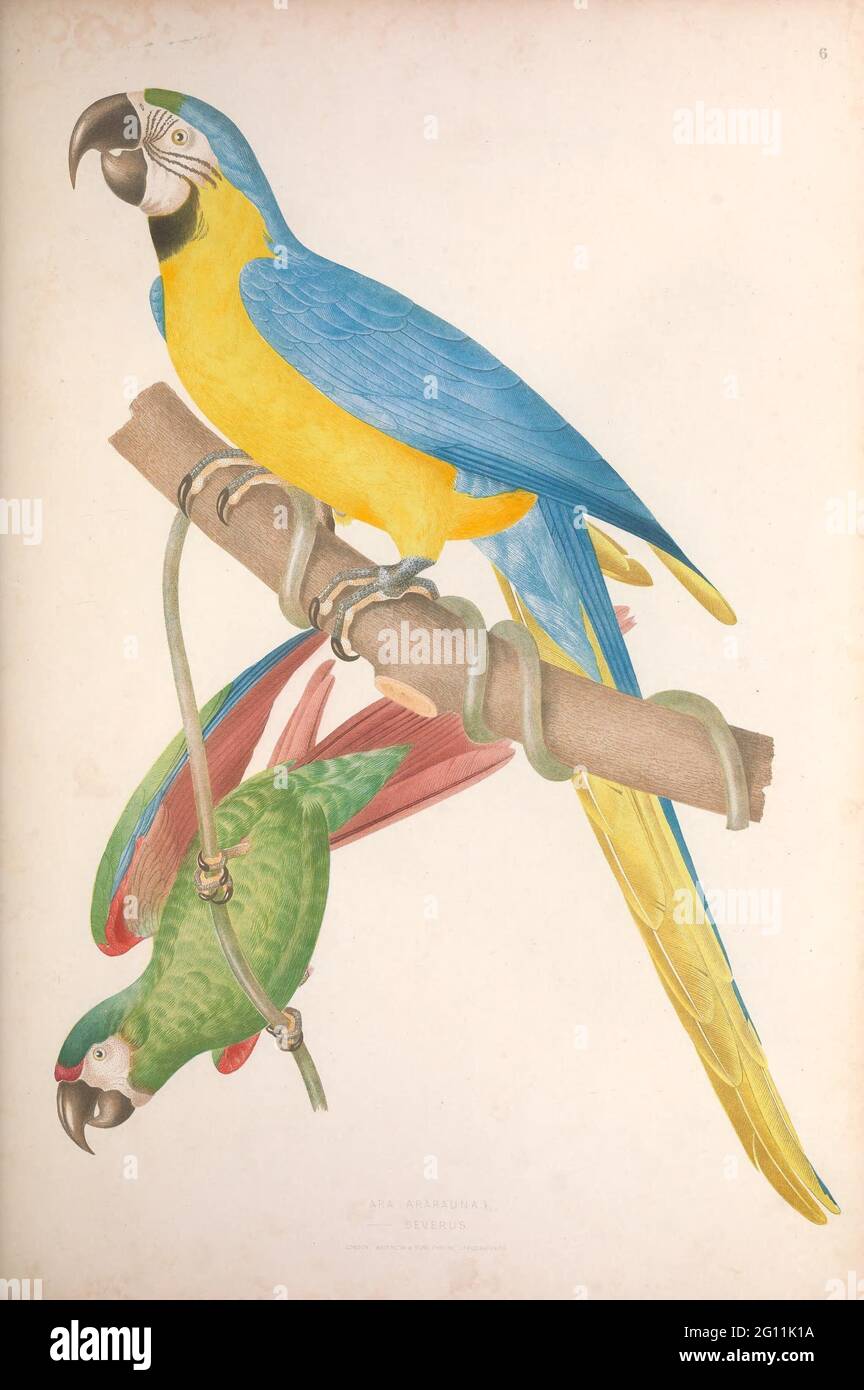 Thomas Reeves High Resolution Stock Photography and Images - Alamy