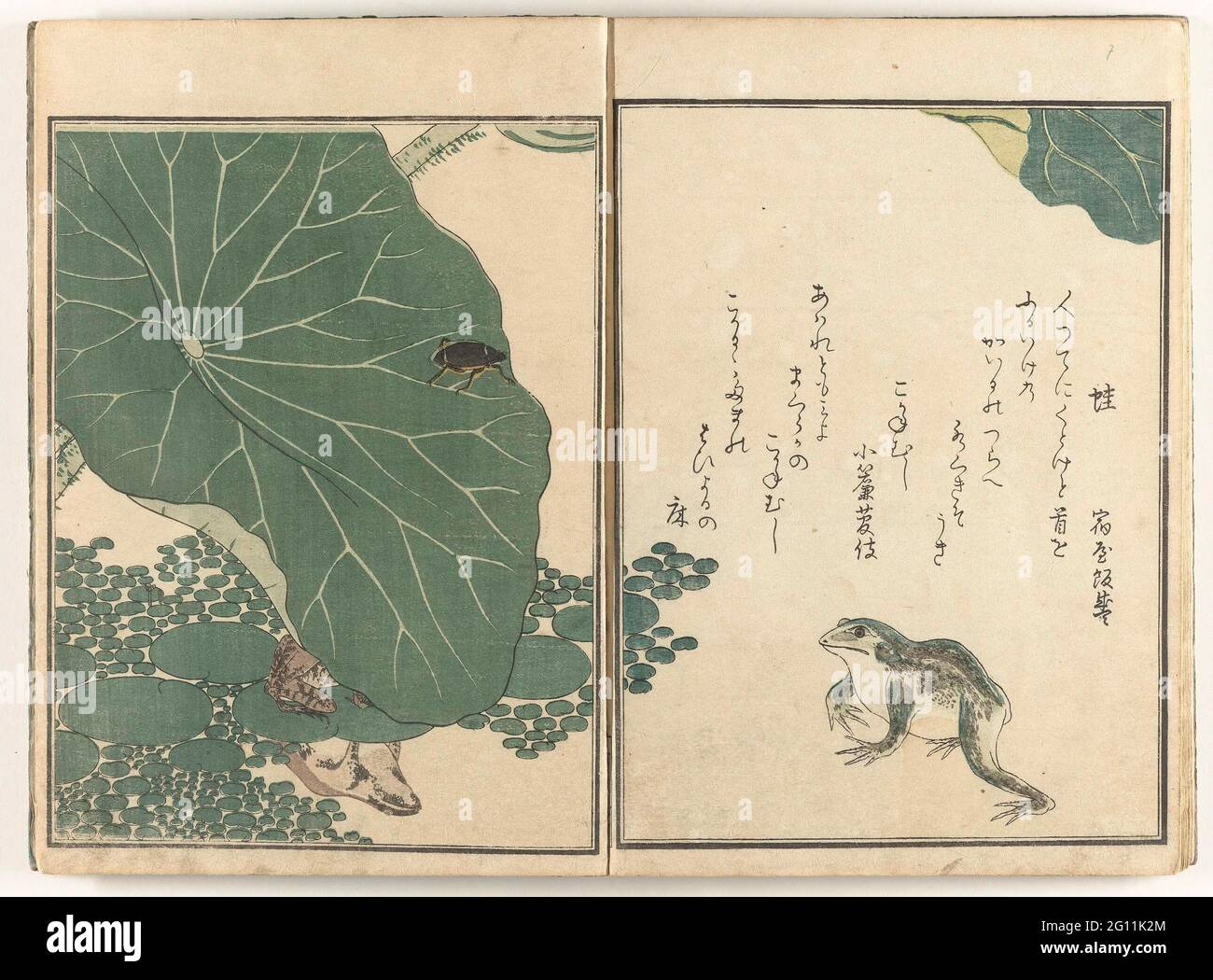 Gold Bug High Resolution Stock Photography and Images - Alamy