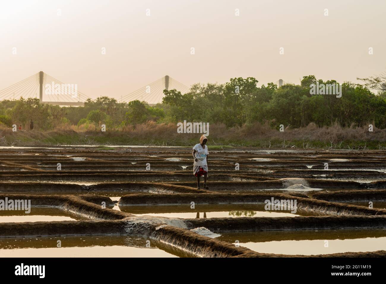 Sea salt pans goa hi-res stock photography and images - Alamy