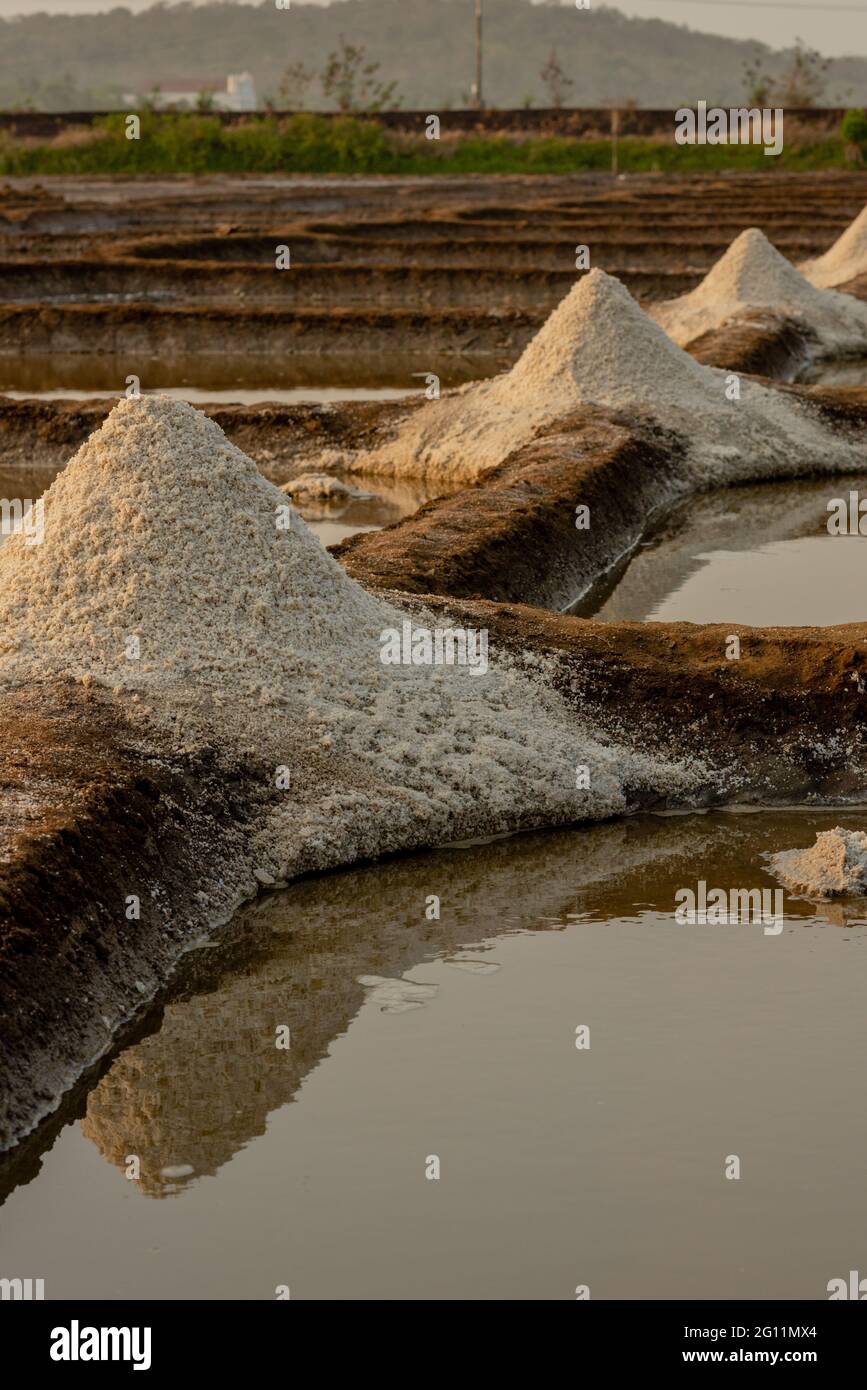 Salt field indian hi-res stock photography and images - Alamy