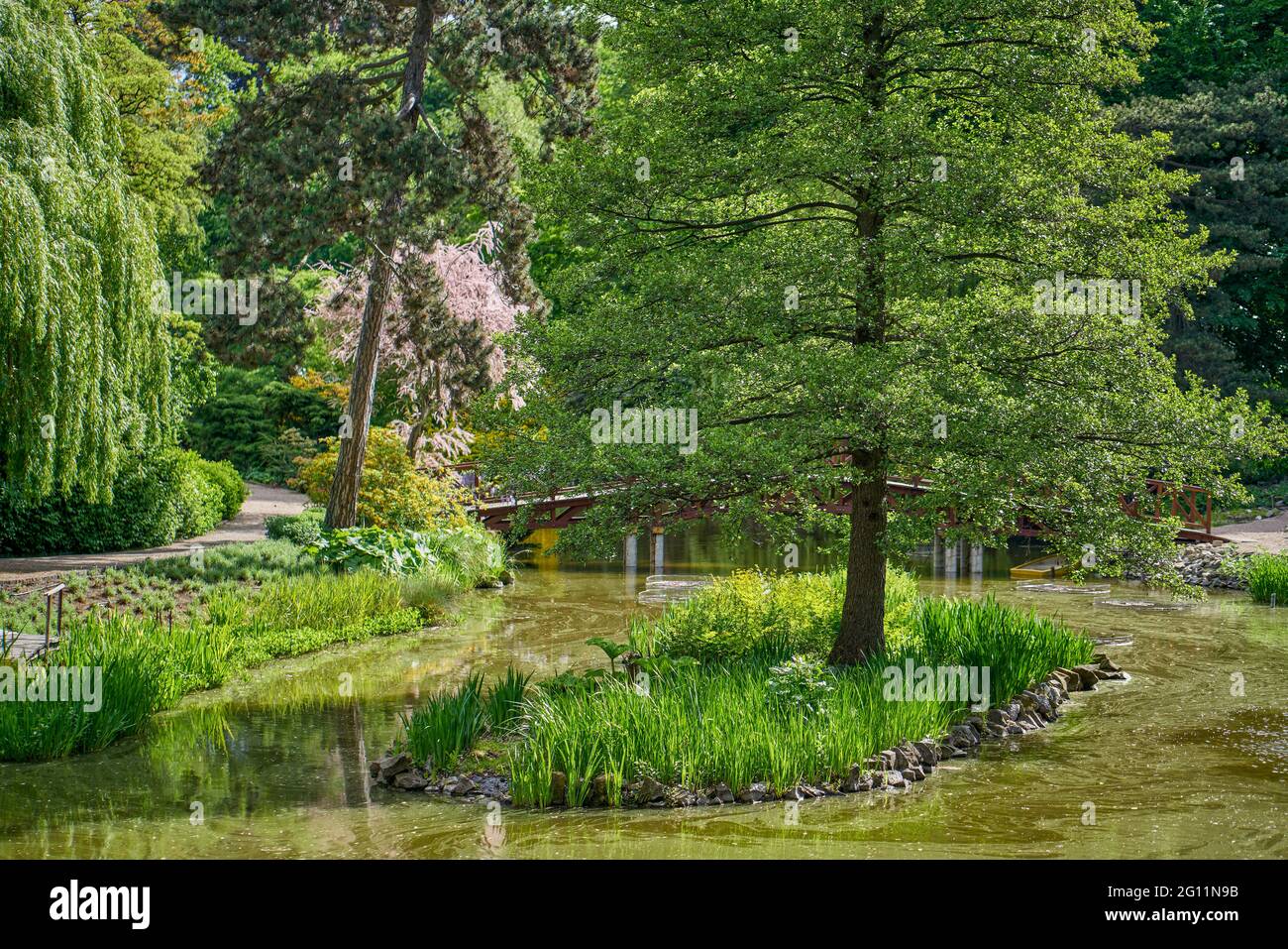 Botanical Gardens in the spring Wroclaw Lower Silesia Poland Stock ...