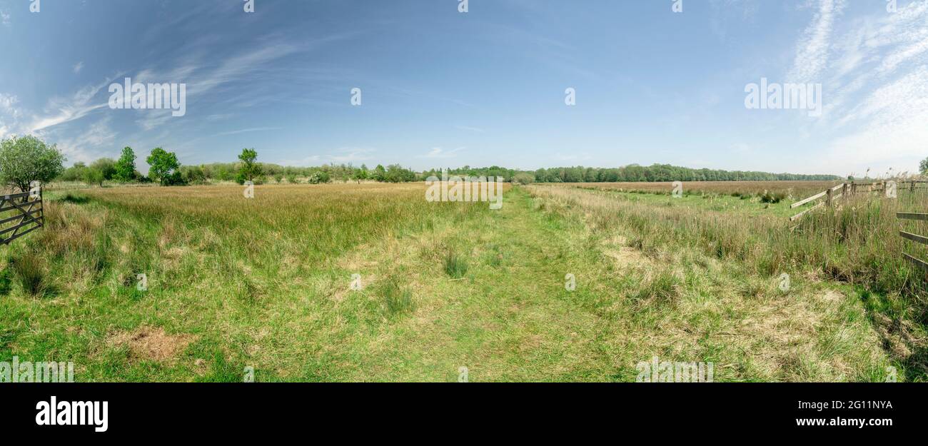 Strumpshaw fen nature reserve hi-res stock photography and images - Alamy