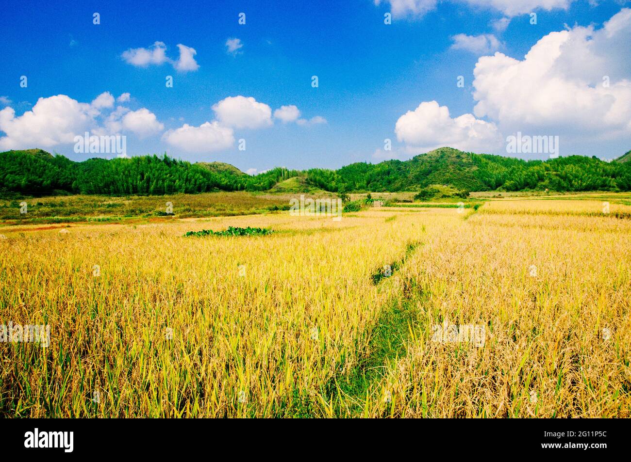 Pastoral autumn scenery with the background of the mountains Stock ...