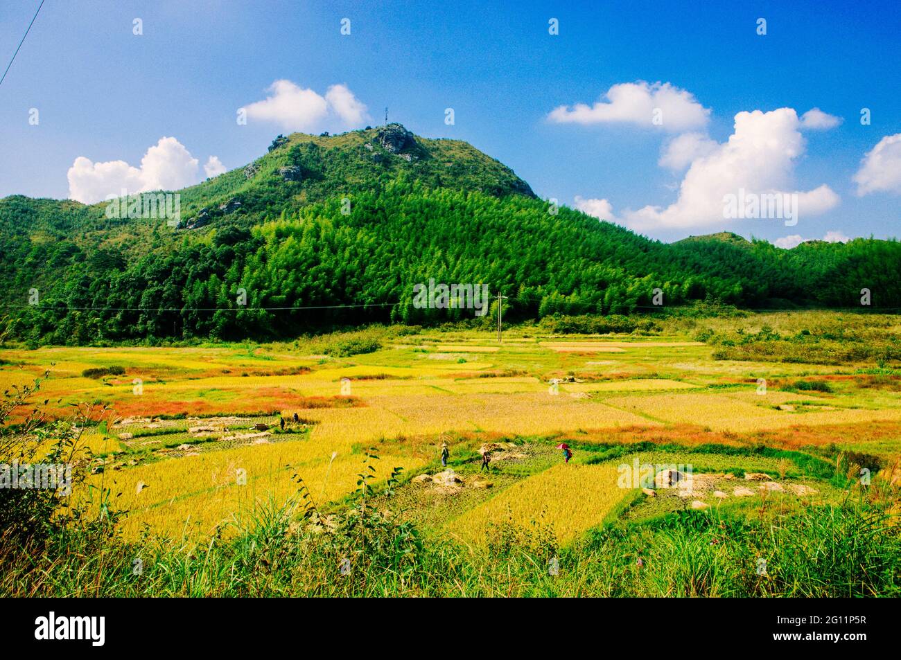 Pastoral autumn scenery with the background of the mountains Stock ...
