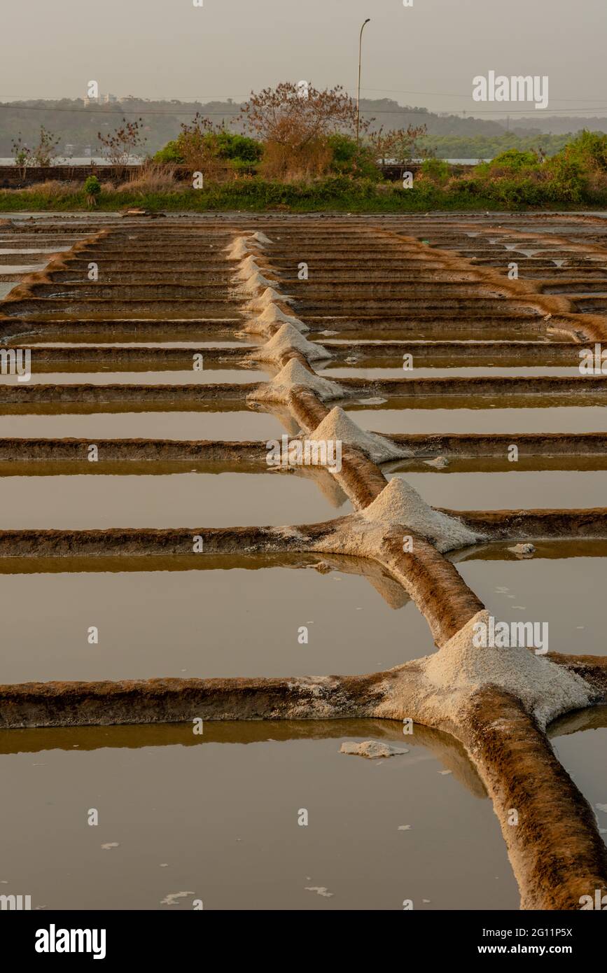 Indian salt evaporation pond hi-res stock photography and images - Alamy