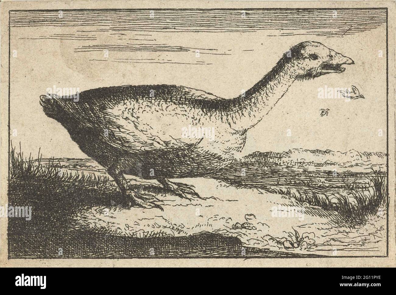 Landscape with wild goose. Copy in mirror image to a print from the ...