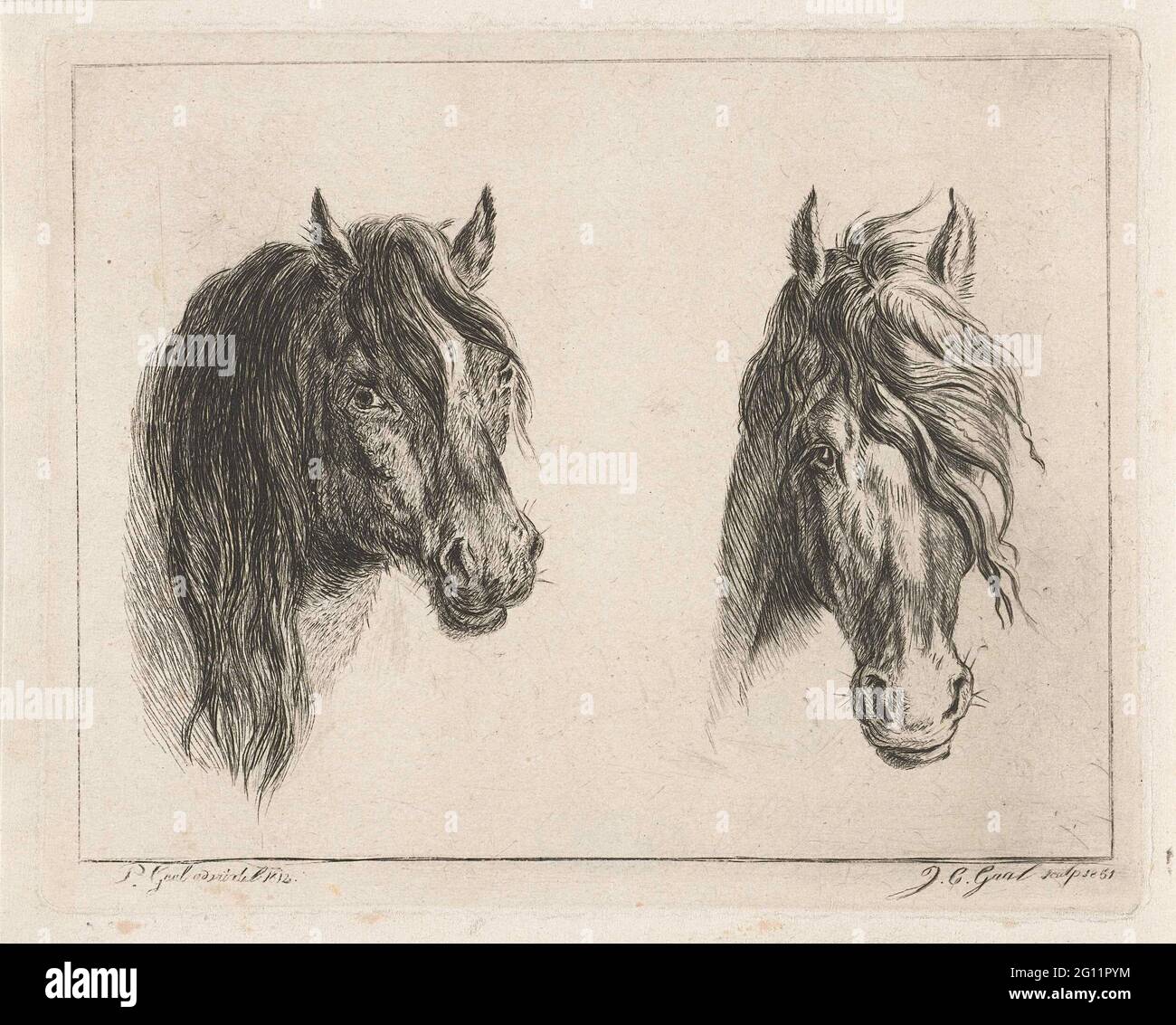 Two horse heads Stock Photo - Alamy