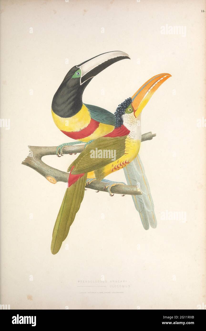 Thomas Reeves High Resolution Stock Photography and Images - Alamy