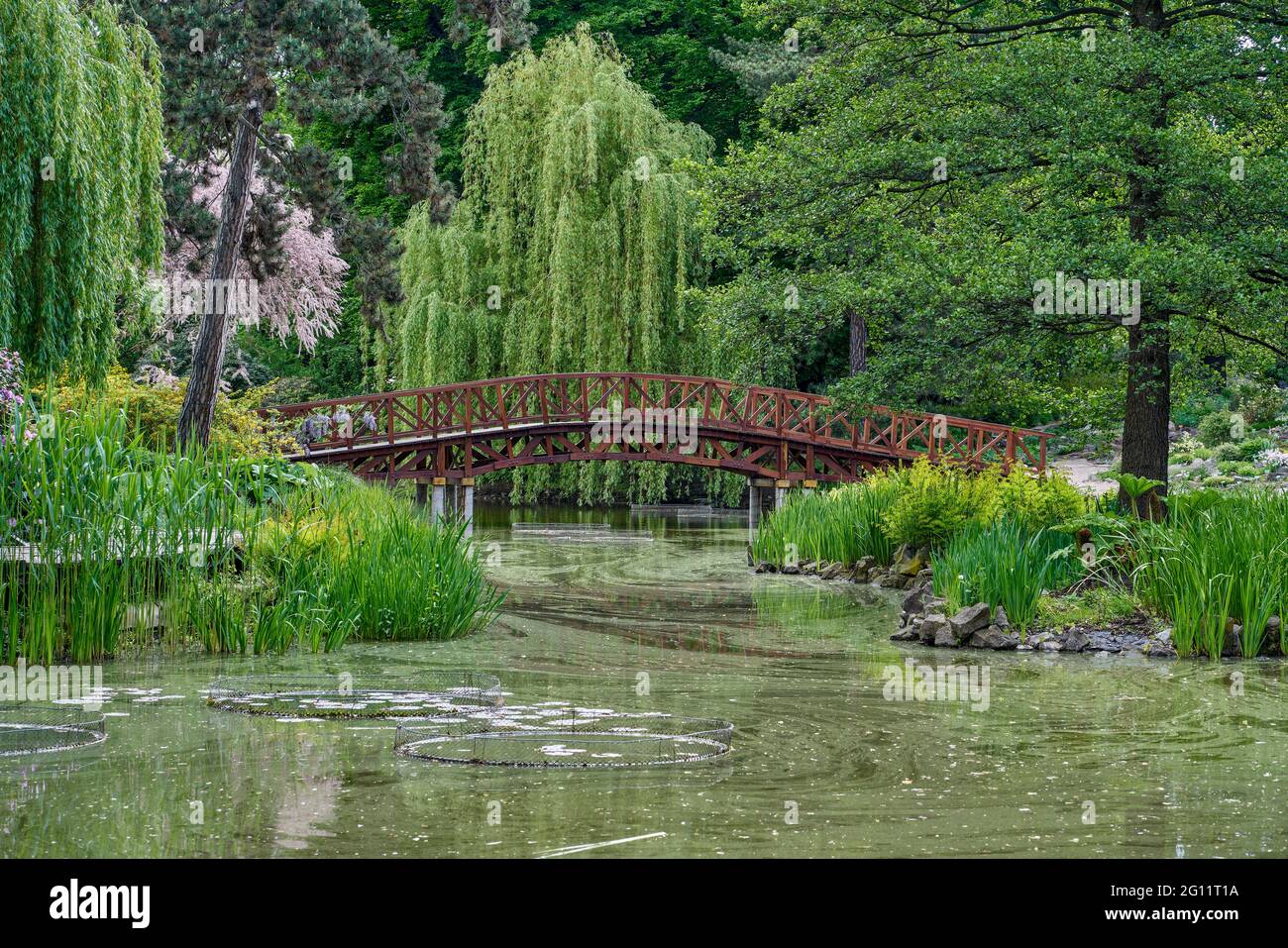 Botanical Gardens in the spring Wroclaw Lower Silesia Poland Stock ...