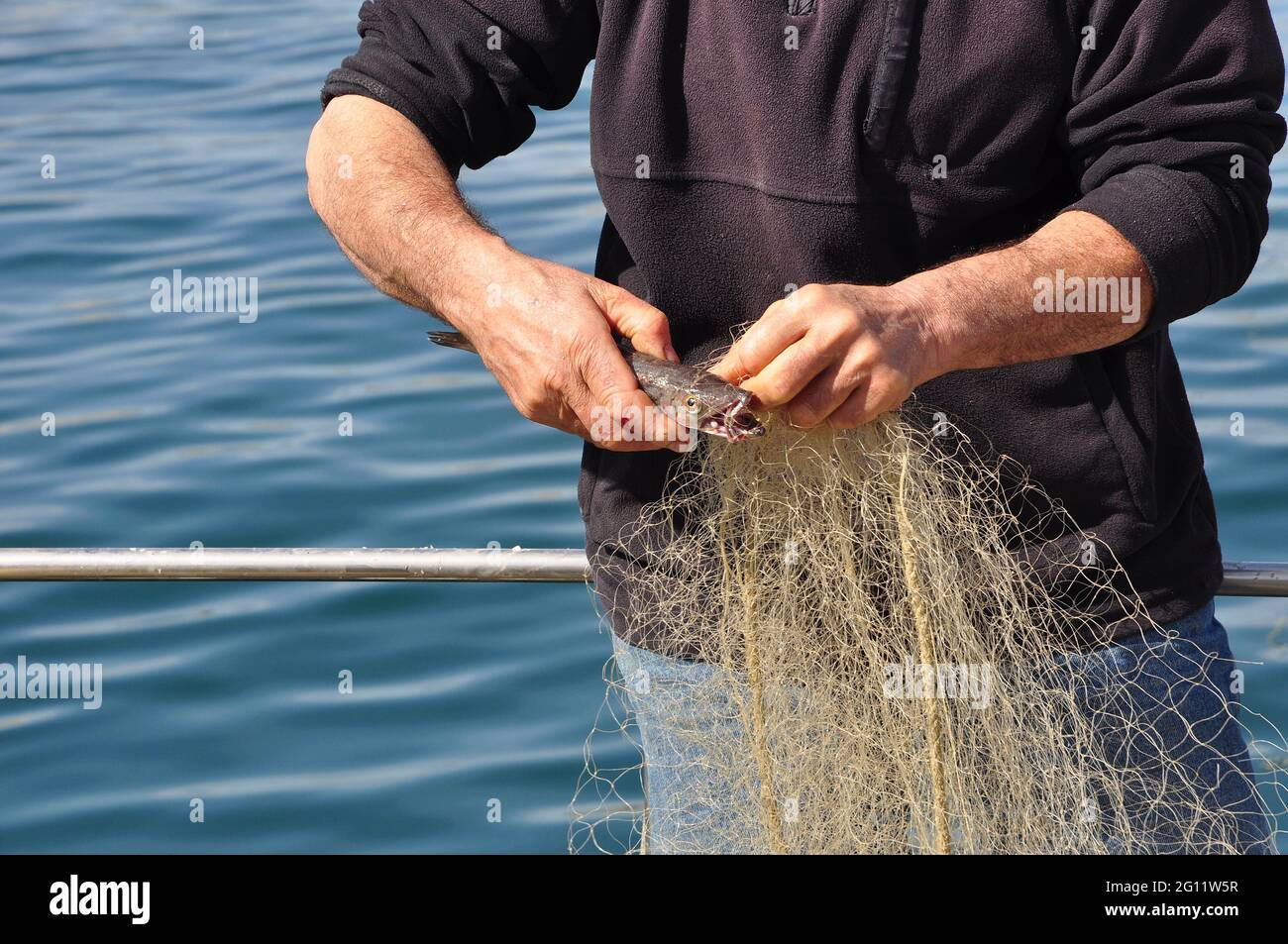 Fisherman unhooking a fish in a net in Provence Stock Photo - Alamy