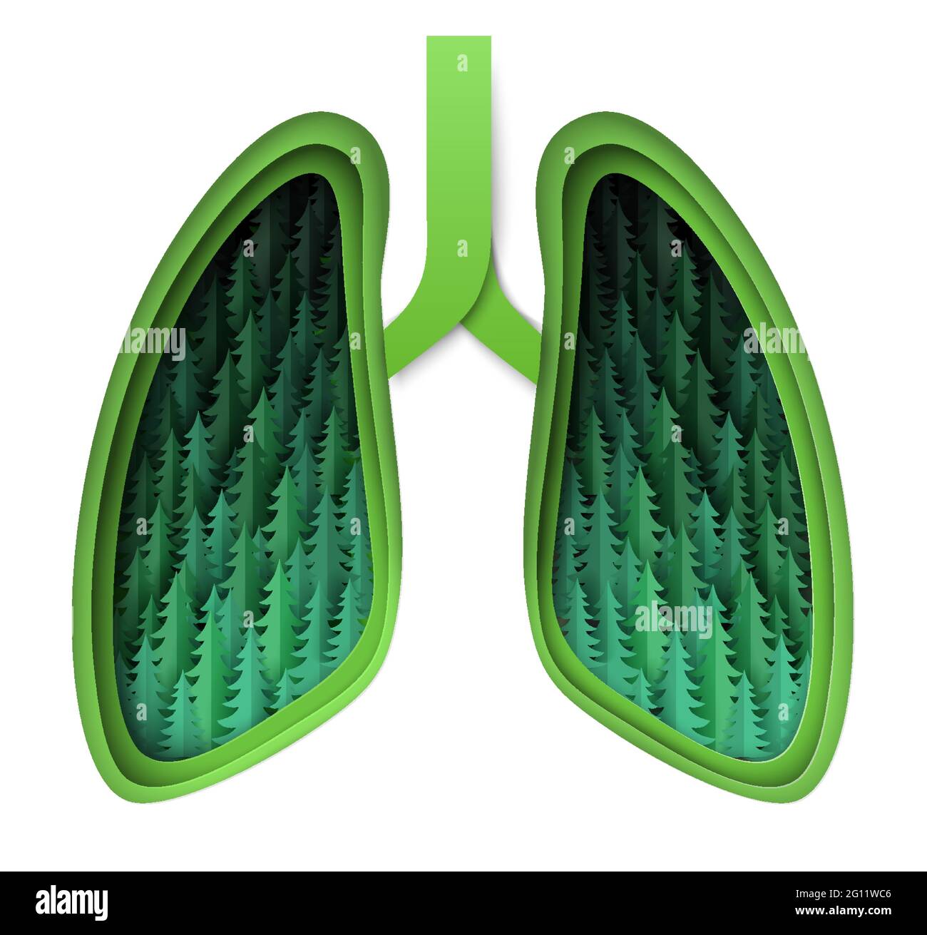 Paper cut human lungs with fir trees, vector illustration. Forests ...