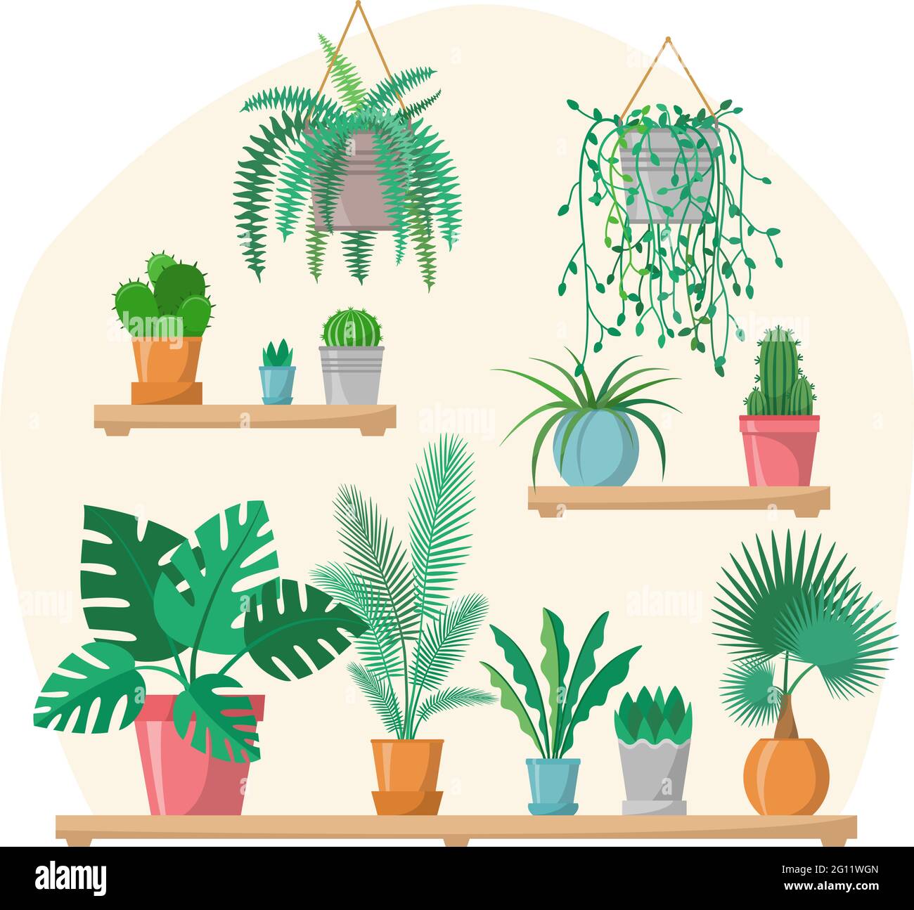 Indoor palms Stock Vector Images - Alamy