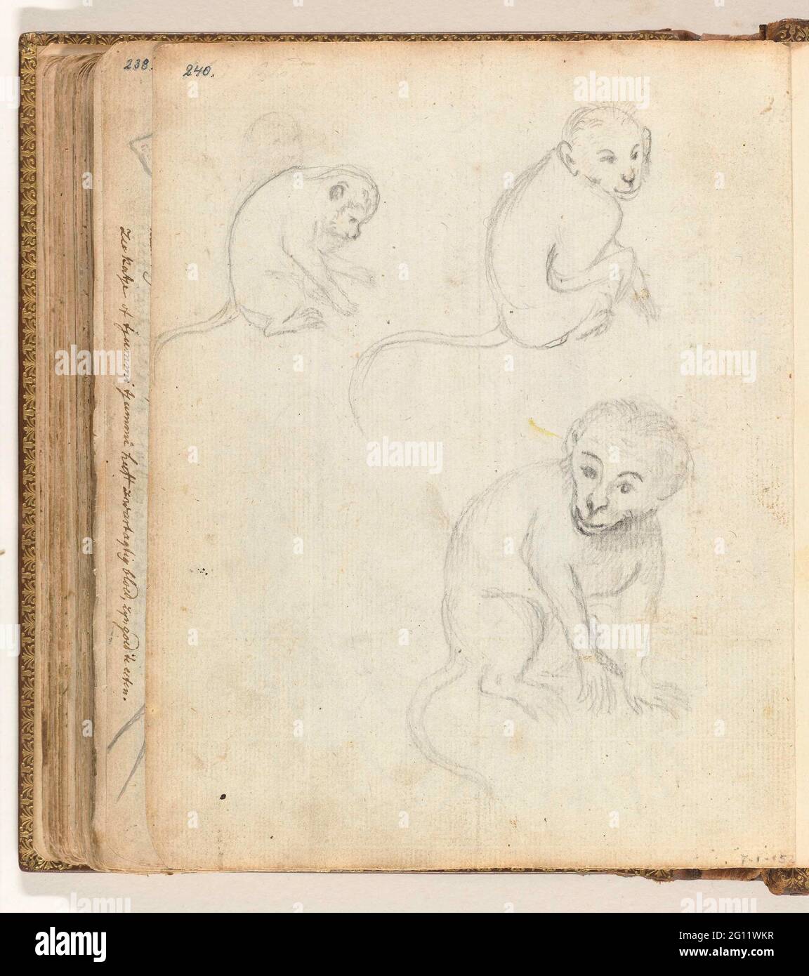 Monkeys. Sketch of three monkeys or always the same monkey in different ...