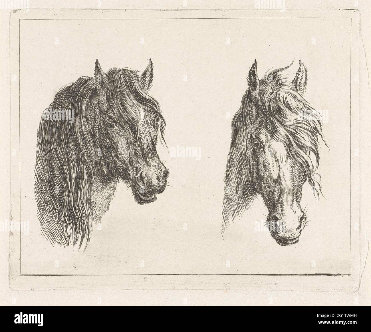 Two horse heads Stock Photo - Alamy