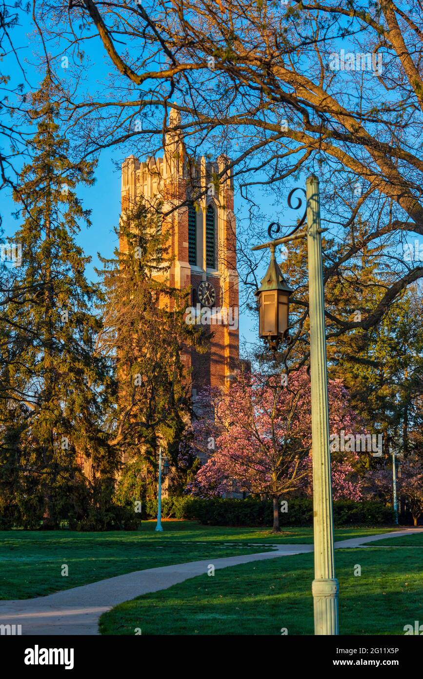 Landmark Beaumont Tower carillon on the campus of Michigan State ...