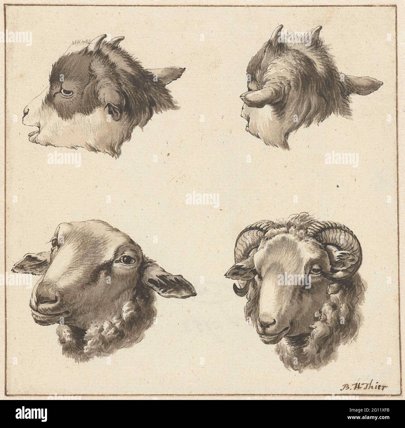 Four cups of bucks and sheep Stock Photo - Alamy