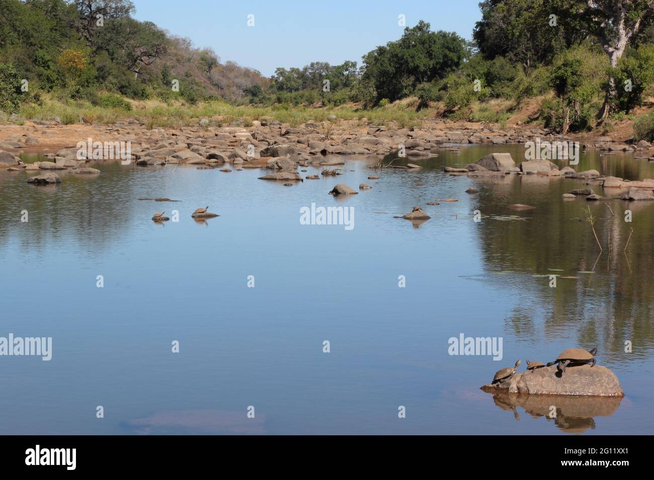 Shingwedzi River / Shingwedzi River Stock Photo - Alamy