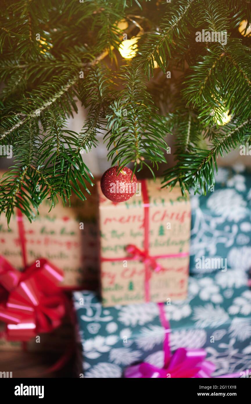 Christmas eve theme. Wrapped gift boxes under fir branches Stock Photo ...