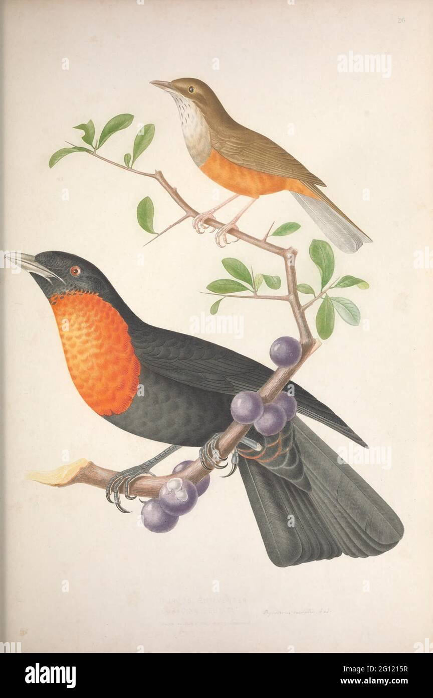 Songs of 1854 hi-res stock photography and images - Alamy