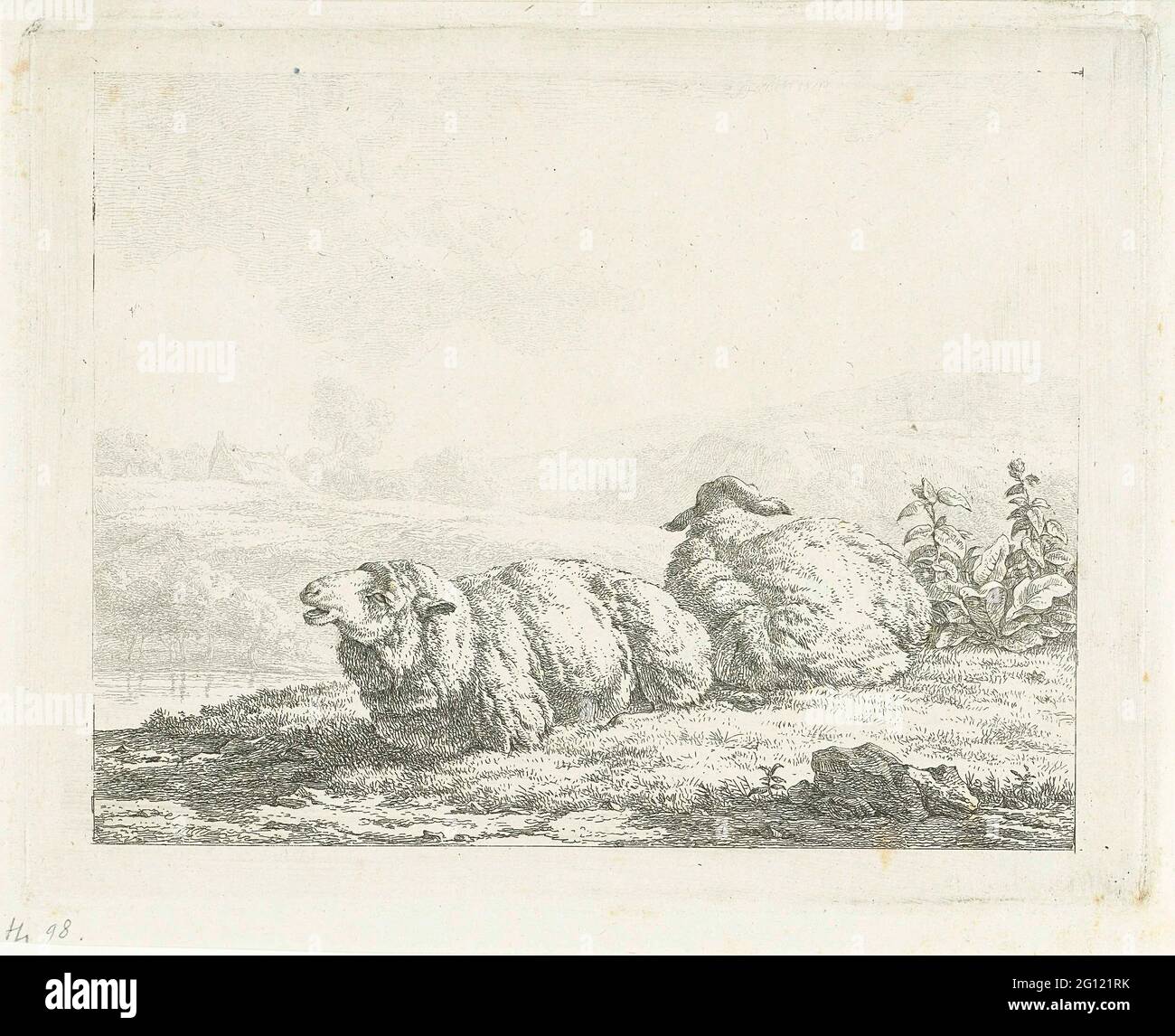 Two lying sheep Stock Photo - Alamy