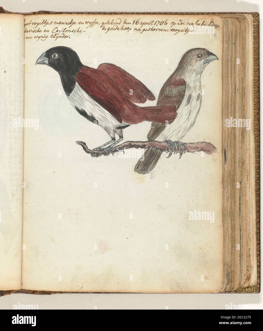 Dl size hi-res stock photography and images - Alamy