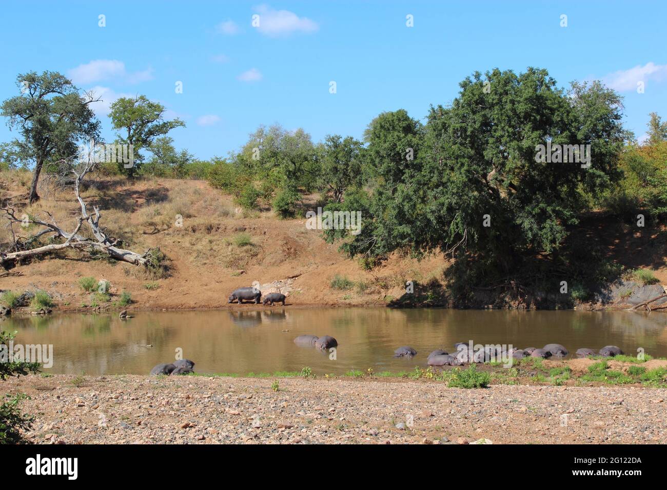 Mphongolo river hi-res stock photography and images - Alamy