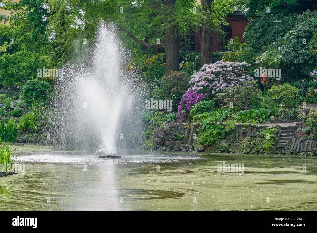 Botanical Gardens in the spring Wroclaw Lower Silesia Poland Stock ...