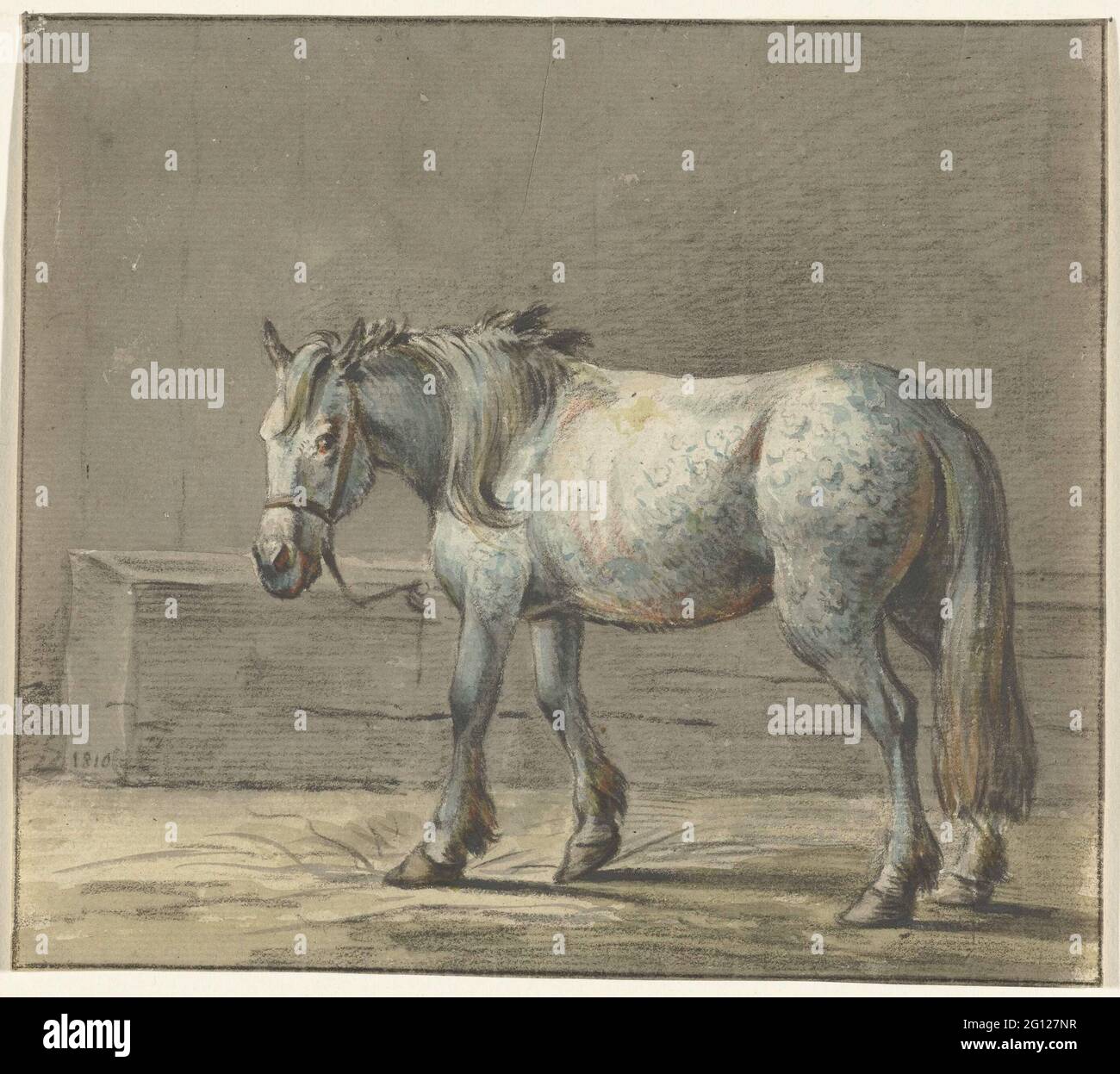 Standing horse in a stable, to the left Stock Photo - Alamy