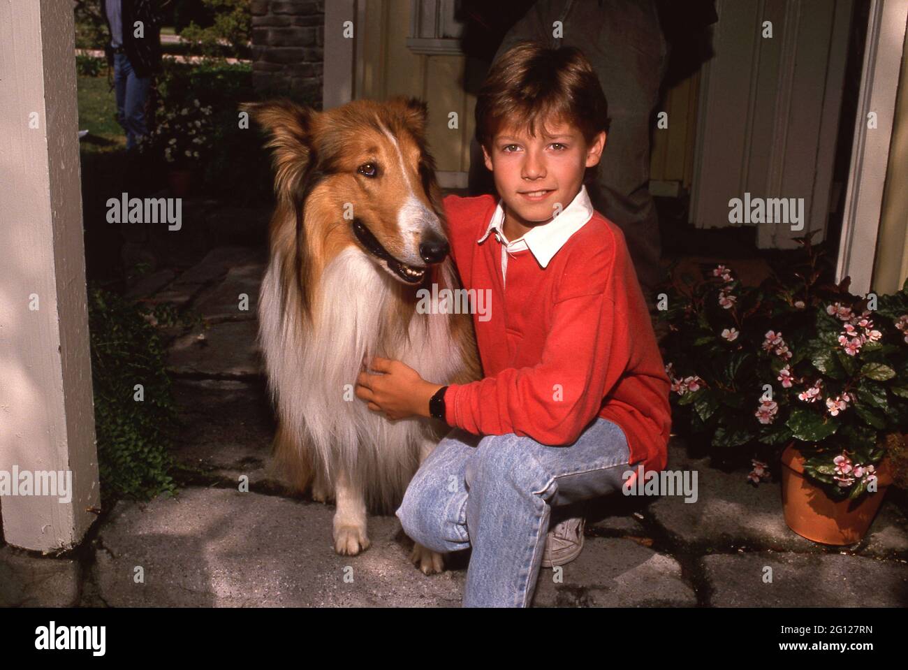 Will Estes and Lassie Circa 1980's Credit: Ralph Dominguez/MediaPunch ...