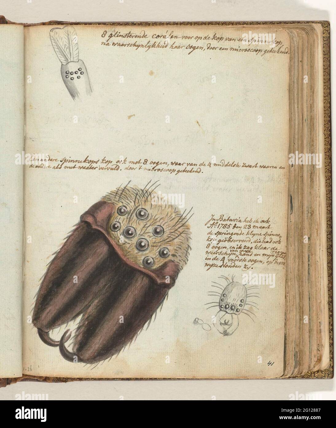 Spin heads. Color and blackword drawing of spinning heads by a ...