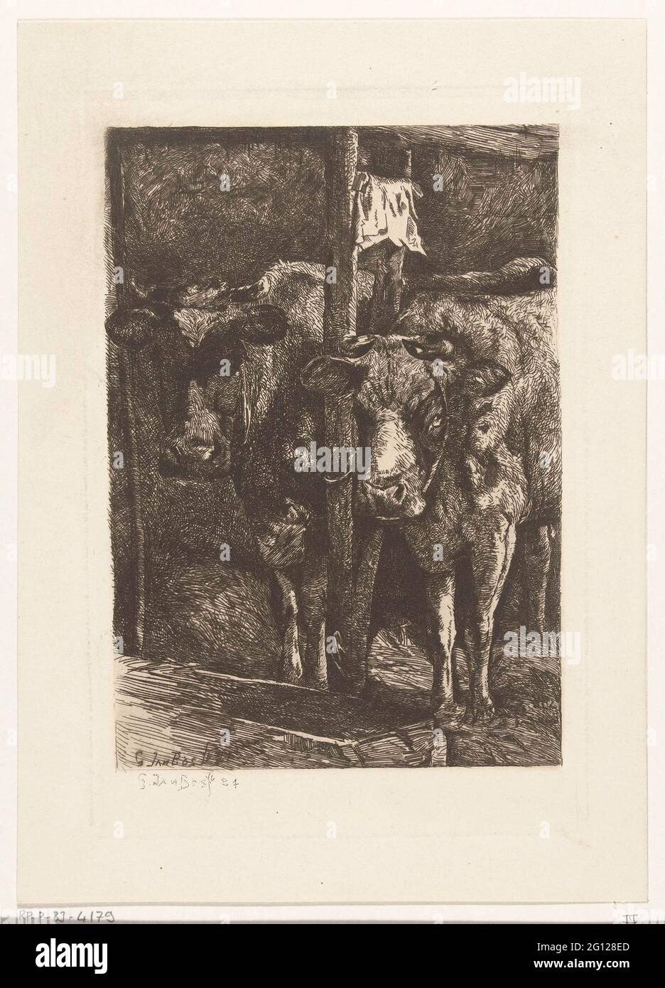 Two cows on the stable Stock Photo - Alamy