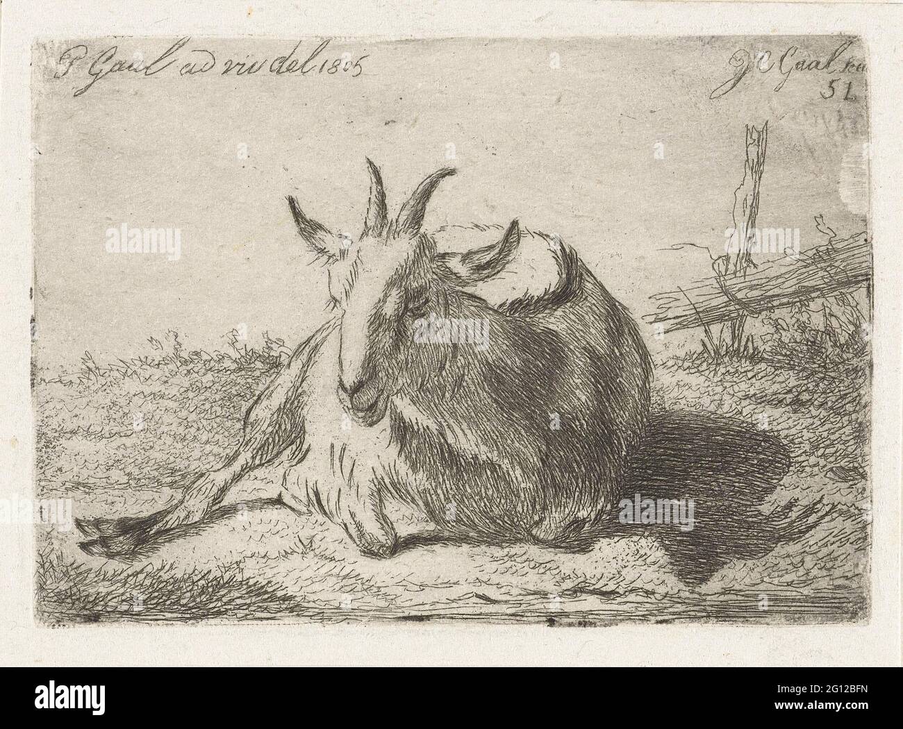 Landscape goat, to the left Stock Photo - Alamy