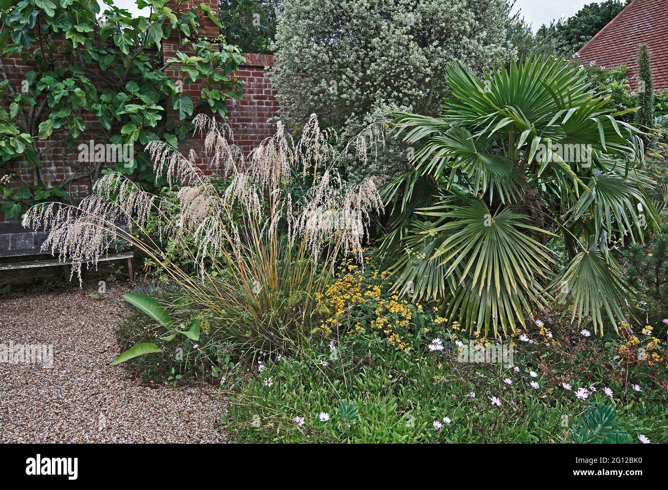 Ornamental grasses border grasses hi-res stock photography and images ...