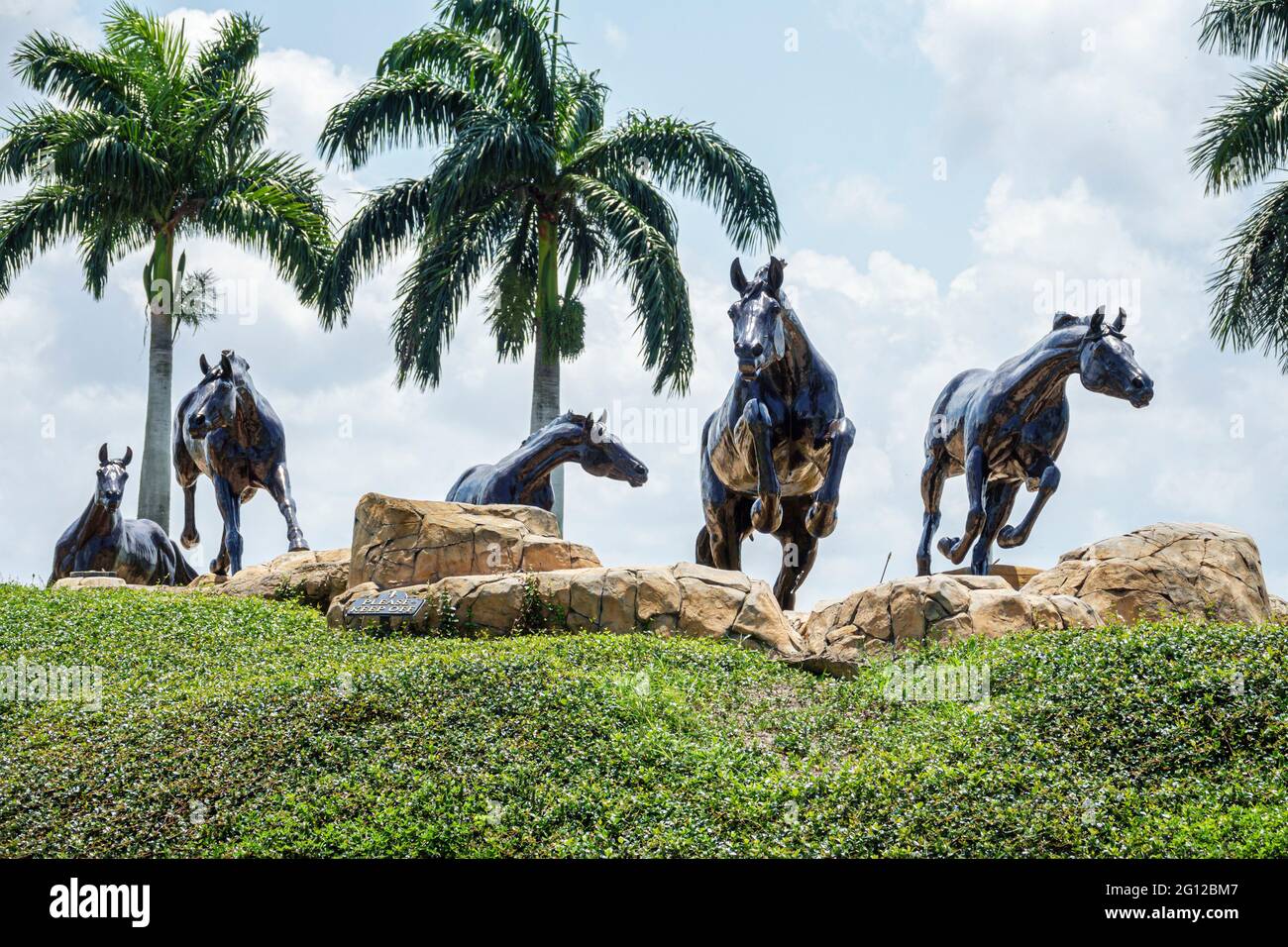 Naples Florida Horse Where To See Budweiser Clydesdales In Fort Myers,